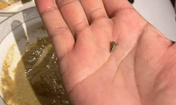Metal Screw Found in Singapore Airlines First Class Passenger Meal ...