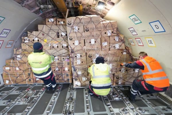 Valentine Flower Delivery Cargo Flight on Turkish Cargo A330F