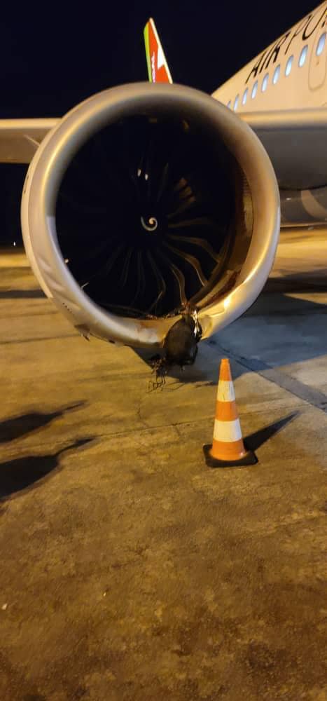 TAP Air Portugal A320neo Hits Motorbike on Landing, Kills Two